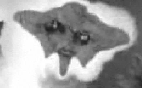 Star (species) | Irwin Allen Wiki | Fandom