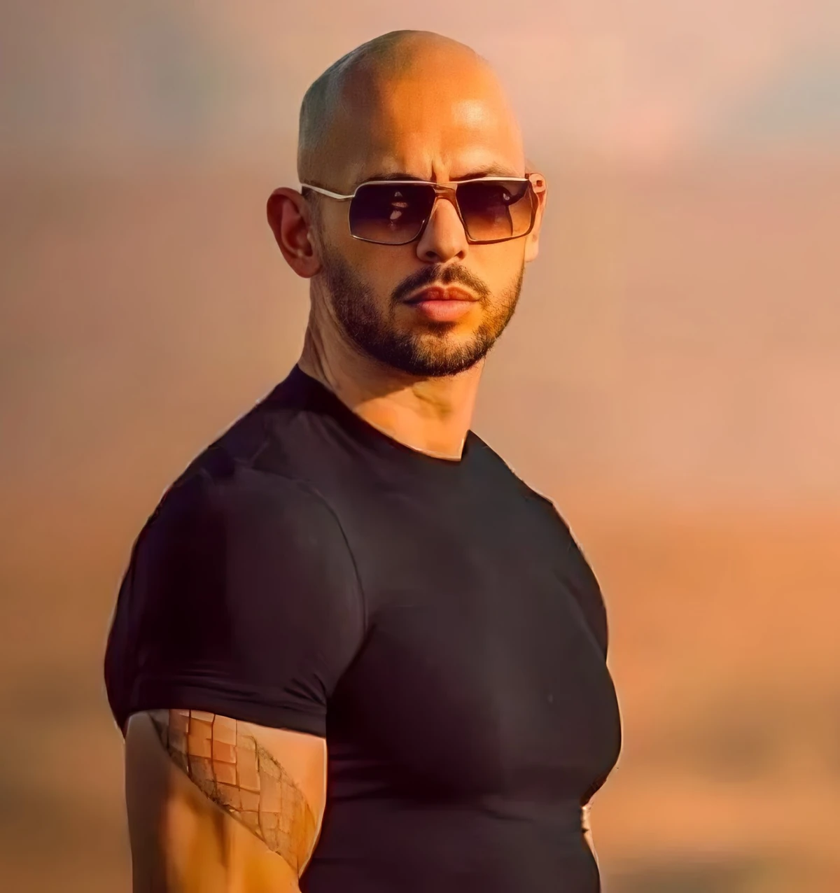 Andrew Tate | Is It Gaming Wiki | Fandom