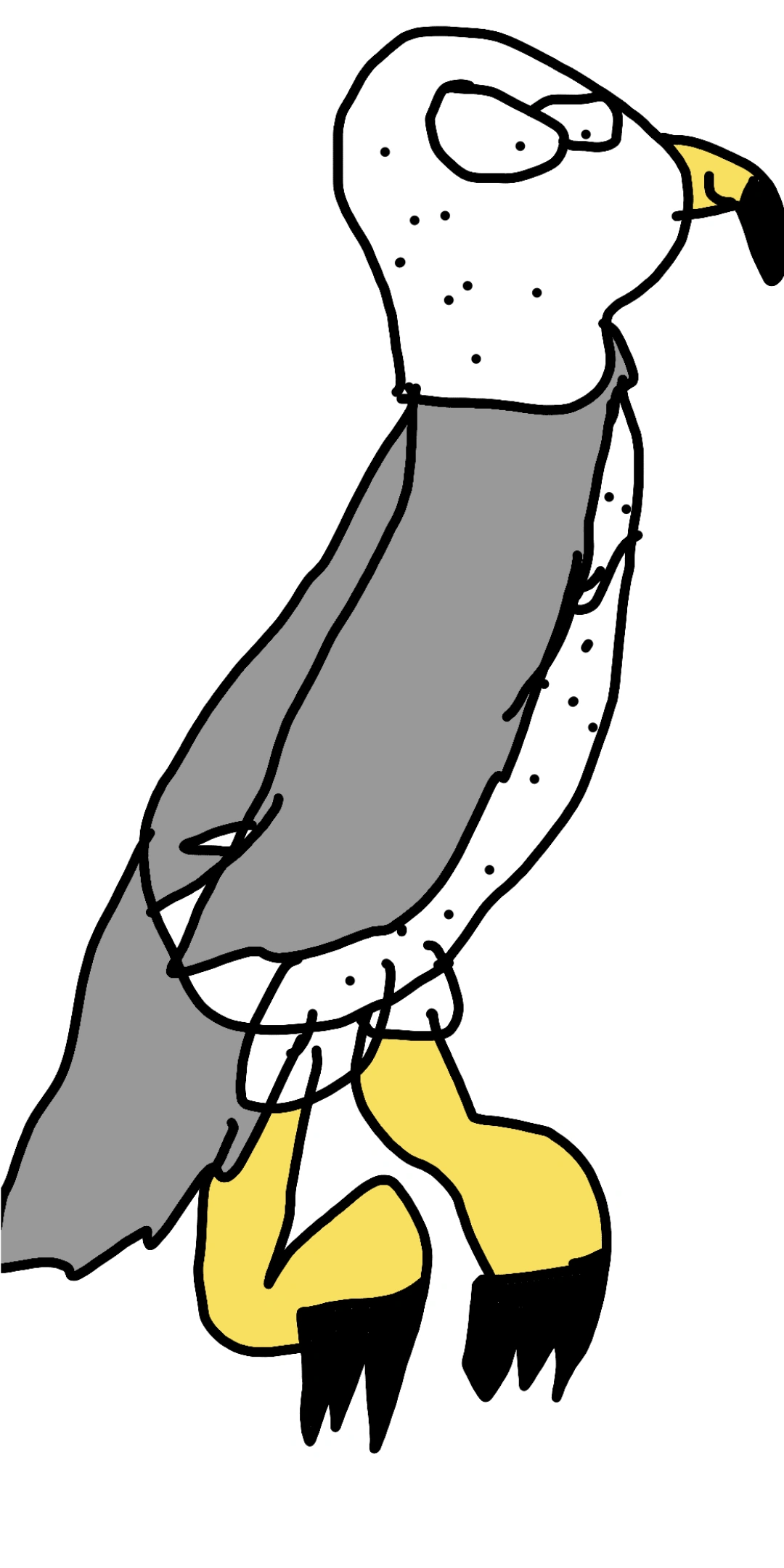 Felky the Falcon | Is a Crocodile a Reptile? Wiki | Fandom