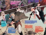 Light Novel Volume 8 | Ishura Wiki | Fandom