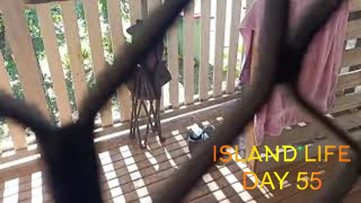 New Mattress | Island Life Wiki | Fandom