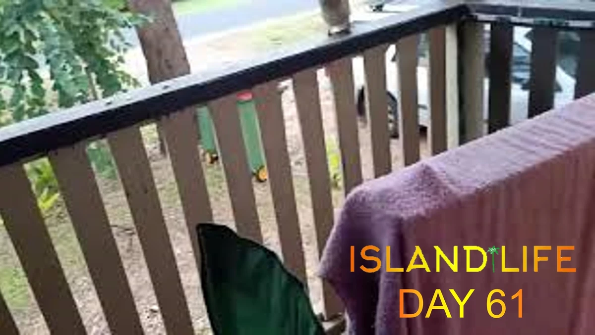 Typical Island Day | Island Life Wiki | Fandom