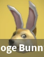 Doge Bunny | Island Royale Wiki | Fandom