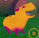 Capybara | Island Saver Wiki | Fandom