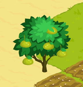 Pummelo Tree | Island Paradise Wiki | Fandom