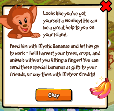 Monkey | Island Paradise Wiki | Fandom