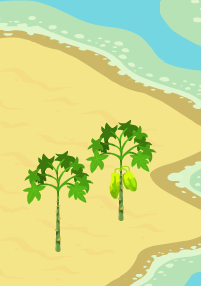 Babaco Tree | Island Paradise Wiki | Fandom