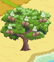 Kukui Tree | Island Paradise Wiki | Fandom