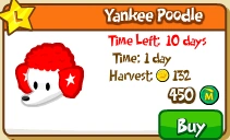 Yankee Poodle | Island Paradise Wiki | Fandom