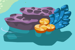 Coral Chunk | Island Paradise Wiki | Fandom