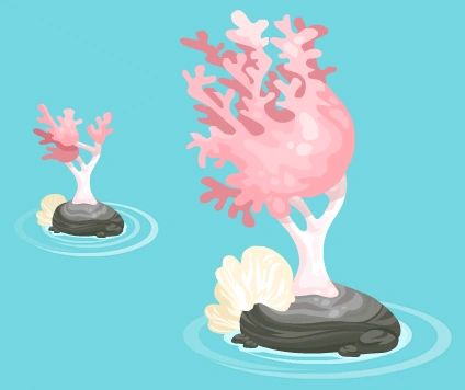 Octopus Tree | Island Paradise Wiki | Fandom