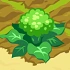 Broccoli | Island Paradise Wiki | Fandom