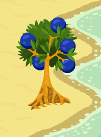Blue Quandong Tree | Island Paradise Wiki | Fandom