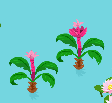 Dwarf Banana Tree | Island Paradise Wiki | Fandom