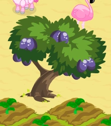 Black Olive Tree | Island Paradise Wiki | Fandom