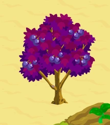 Razzleberry Tree | Island Paradise Wiki | Fandom