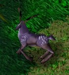 Elk | Island Troll Tribes Official Wiki | Fandom