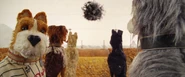 Chief | Isle of Dogs Wiki | Fandom