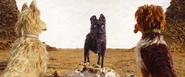 Chief | Isle of Dogs Wiki | Fandom