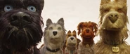 Chief | Isle of Dogs Wiki | Fandom