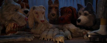 Peppermint | Isle of Dogs Wiki | Fandom