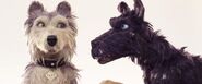 Chief | Isle of Dogs Wiki | Fandom