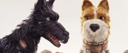 Chief | Isle of Dogs Wiki | Fandom