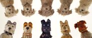 Chief | Isle of Dogs Wiki | Fandom