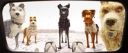 Chief | Isle of Dogs Wiki | Fandom