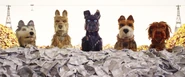 Chief | Isle of Dogs Wiki | Fandom