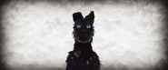 Chief | Isle of Dogs Wiki | Fandom
