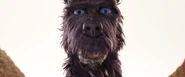 Chief | Isle of Dogs Wiki | Fandom