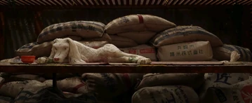 Peppermint | Isle of Dogs Wiki | Fandom