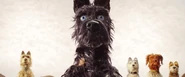 Chief | Isle of Dogs Wiki | Fandom