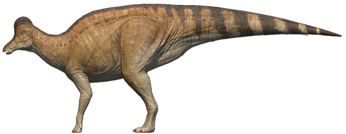 Corythosaurus | The Isle Wiki | Fandom