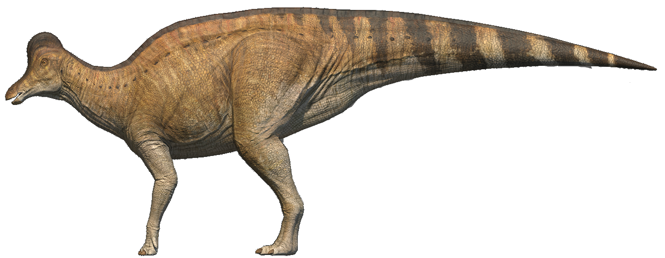 Corythosaurus | The Isle Wiki | Fandom