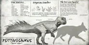 Psittacosaurus | The Isle Wiki | Fandom