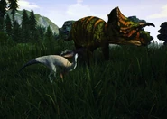 Avaceratops | The Isle Wiki | Fandom