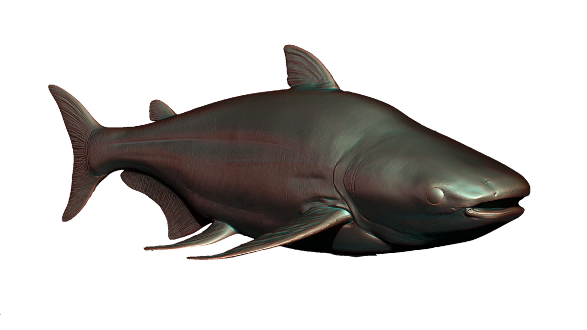 Catfish | The Isle Wiki | Fandom