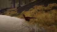 Austroraptor | The Isle Wiki | Fandom