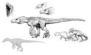 Hyperendocrin Utahraptor | The Isle Wiki | Fandom