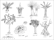 The Isle Concept art | The Isle Wiki | Fandom