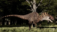 Acrocanthosaurus | The Isle Wiki | Fandom