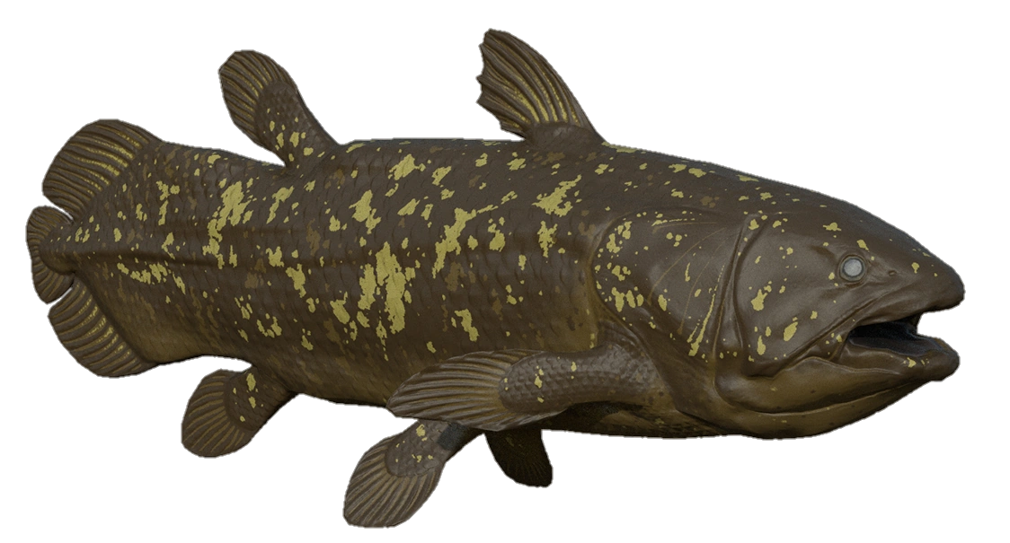 Coelacanth | The Isle Wiki | Fandom