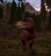 Archived/Tyrannosaurus | The Isle Wiki | Fandom