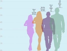 Fel | Aedron World Wiki | Fandom