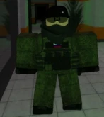 RAIU | Isolated Studios Wiki | Fandom