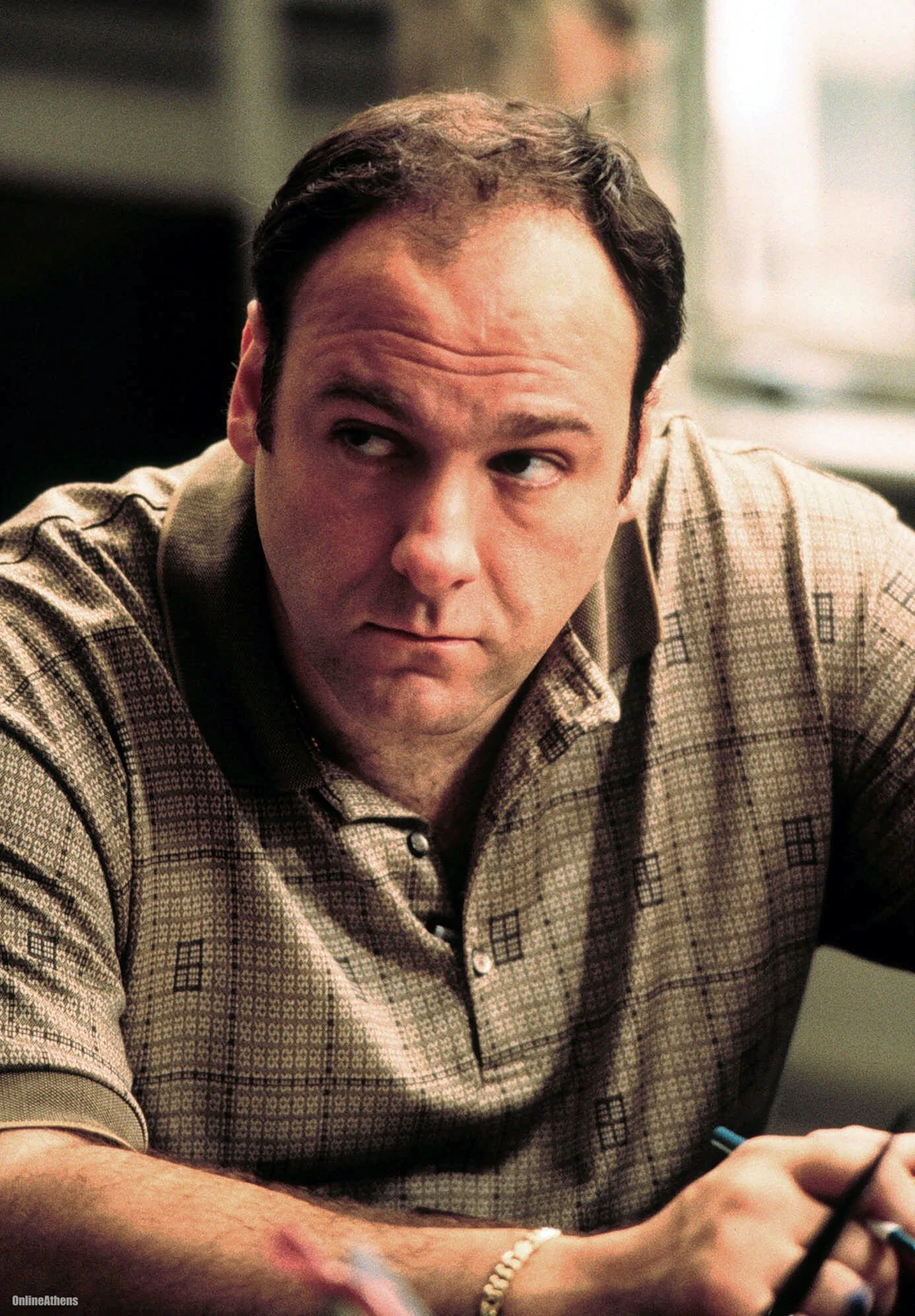 Tony Soprano | I Soprano Wiki | Fandom