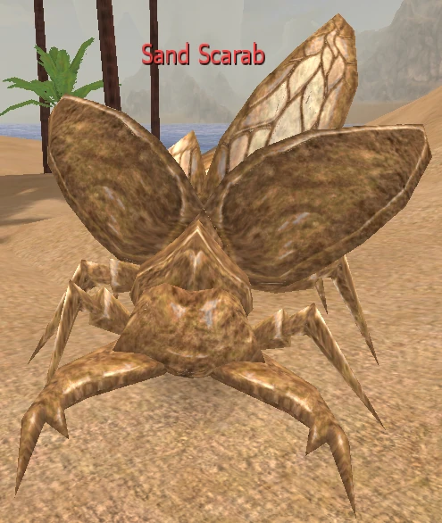 Sand Scarab | Istaria Wiki | Fandom