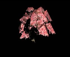 Tree | Istaria Wiki | Fandom